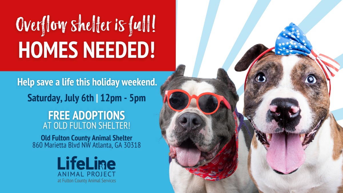 Clear the Old Fulton County Shelters, Save a Pet's Life This Saturday ...