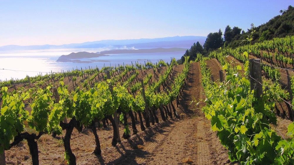 Coastal Wine Tasting at Perrine’s Wine Shop | Creative Loafing