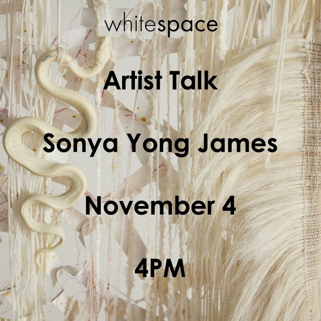 Artist Talk with Sonya Yong James | Creative Loafing