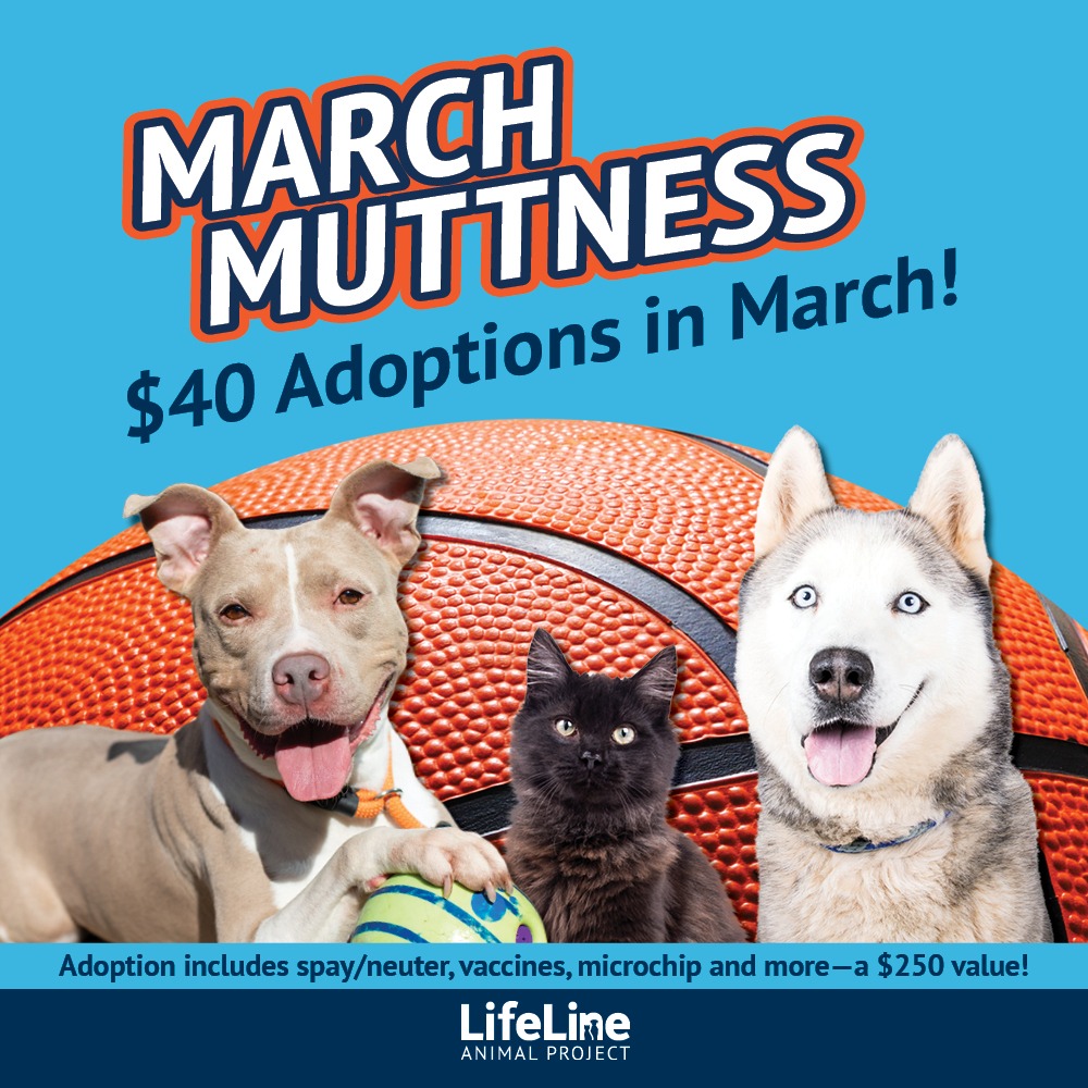 March Mutt-Ness Free Pet Adoption Event | Creative Loafing